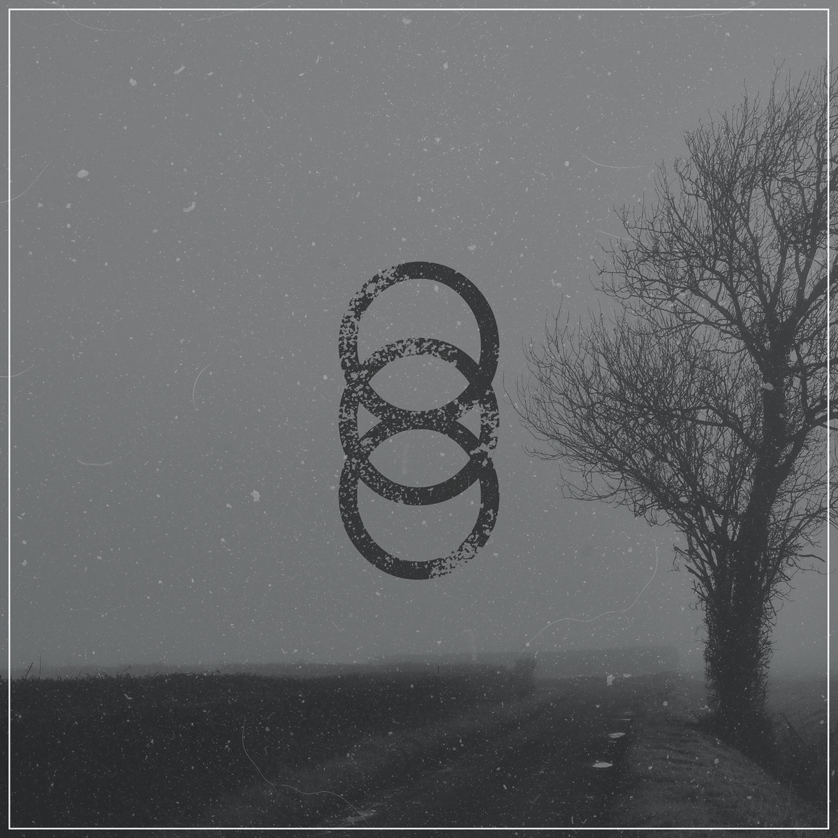 Hundred Year Old Man – Rei – Opduvel