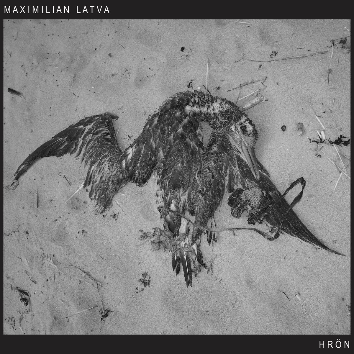 Maximilian Latva – Hrön – Opduvel