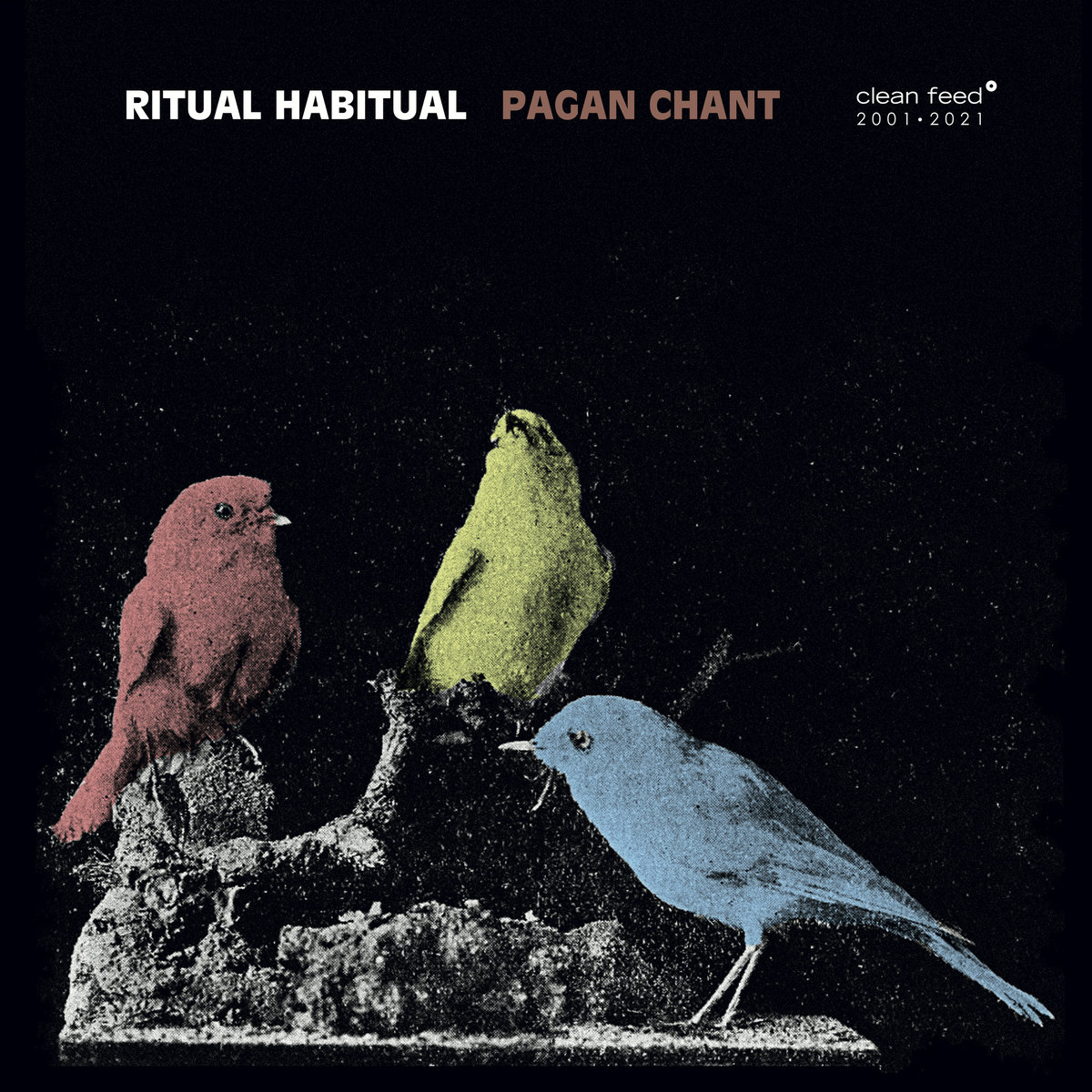Ritual Habitual – Pagan Chant – Opduvel